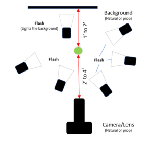 Better Bird Photography with Flash - Travel To Eat